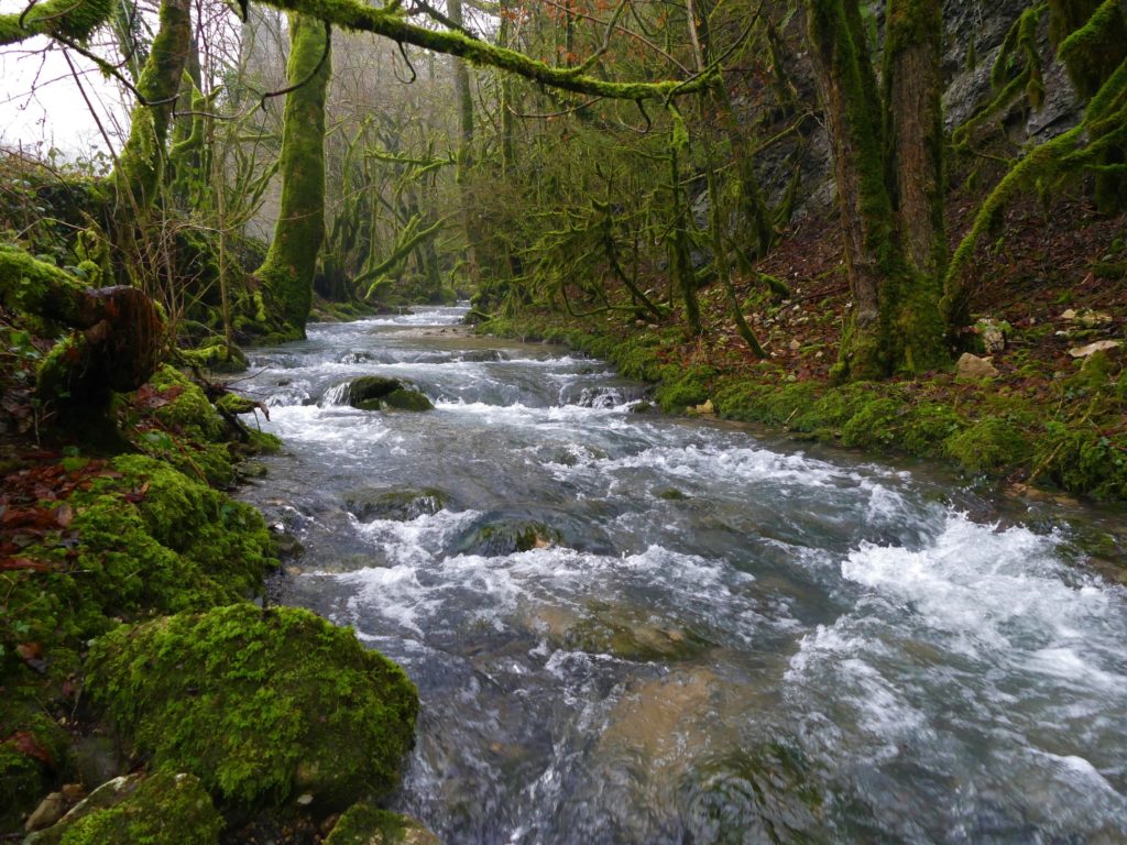 Pêcher à Cerdon | AAPPMA CERDON - Fédération de Pêche de l'Ain